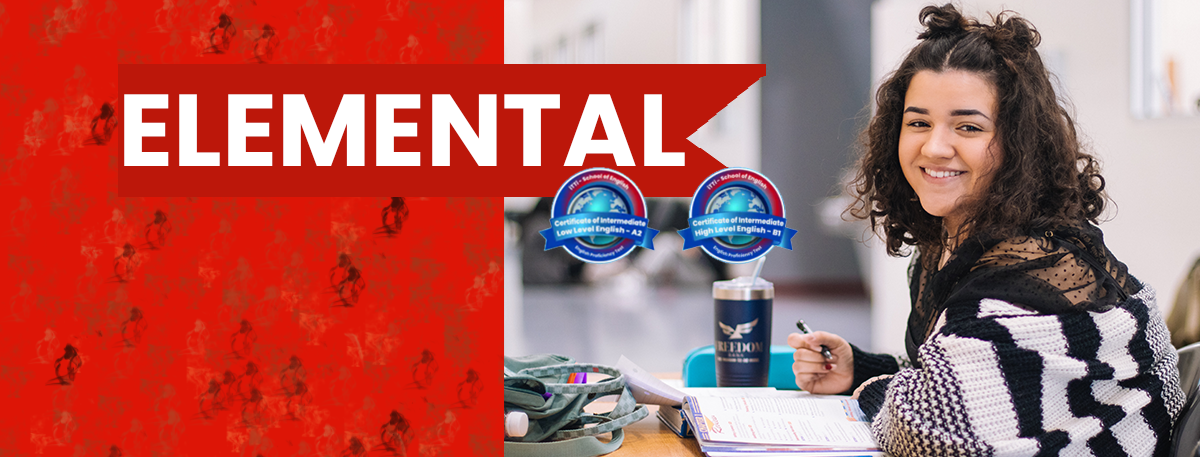 SpeakWrite International English Institute